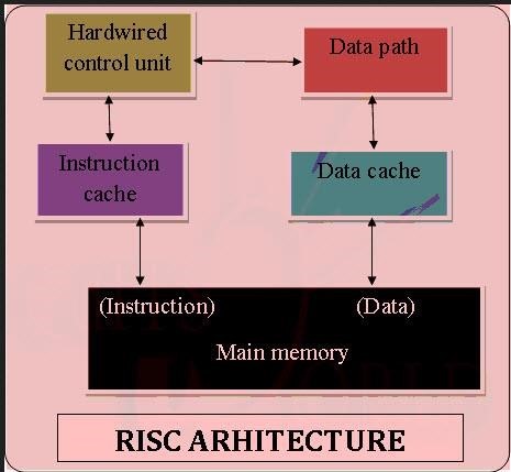 Part 10: Processors in Computer Architecture - Computer Architecture